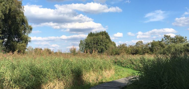 Jettingen-Scheppach Independent Travel Guide (2025): Top Things to Do ...