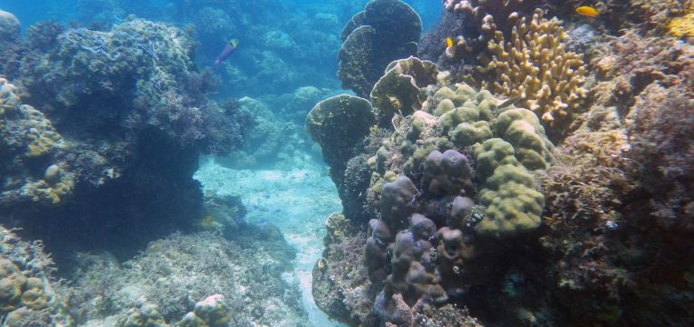 Initao Travel Guide 2026: Top Attractions, Things to Do & Deals | Trip ...
