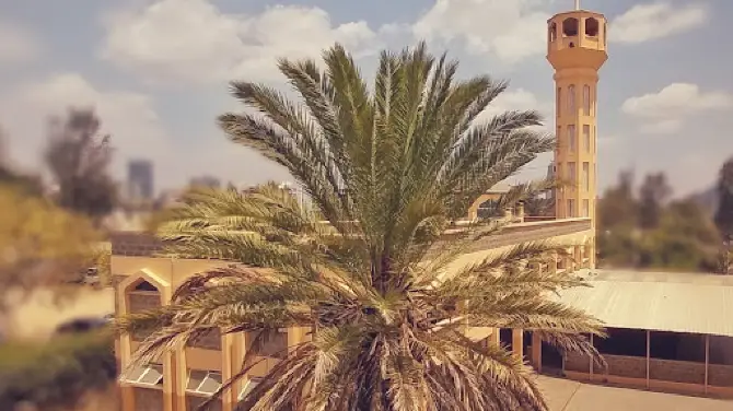 Madina Centre Mosque Nairobi Tickets [2026] - Promos, Prices, Reviews ...