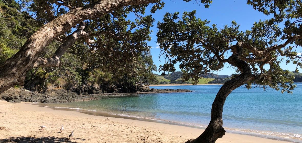 Things to do in Matapouri (2025): Top nearby activities,popular ...