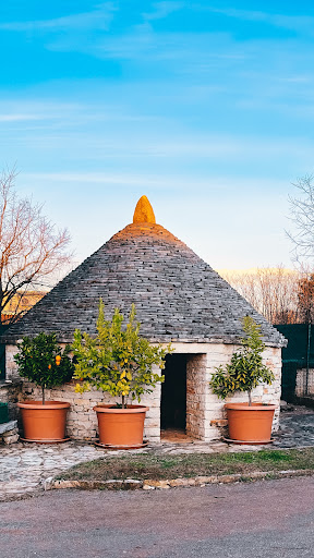 Uljara San Antonio - Olive Oil Tickets [2025] - Promos, Prices, Reviews ...