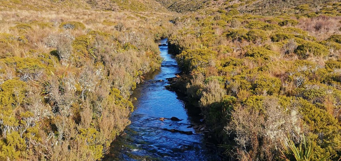 Things to do in Bainham (2025): Top nearby activities,popular ...