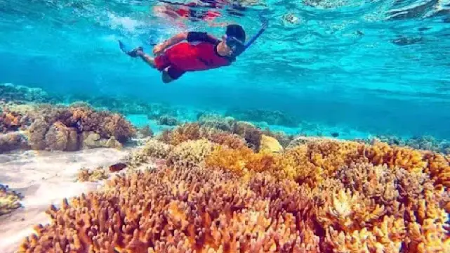 Jack boat Trip Riung Tickets [2026] - Promos, Prices, Reviews & Opening ...