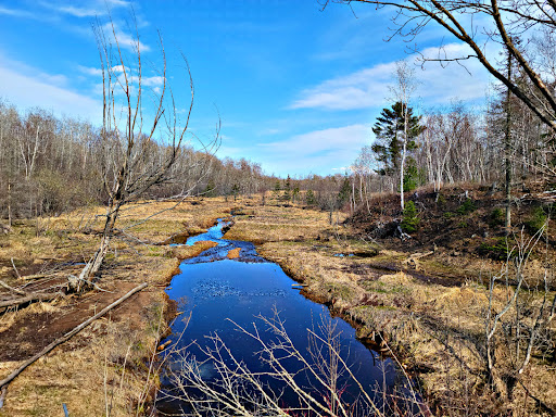CJ Ramstad Trail, Martin Rd. Trailhead Tickets [2026] - Promos, Prices ...