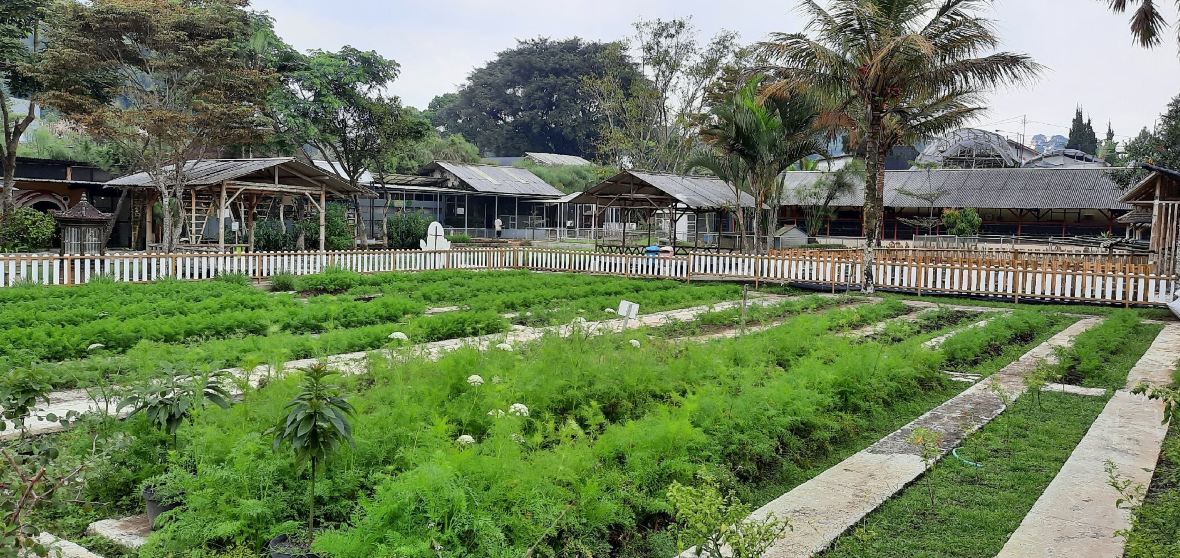 Parongpong的自由行攻略 (2025)：附近的熱門活動、人氣景點、行程安排、住宿、美食、交通、天氣，以及更多旅遊必備資訊 (2025 ...