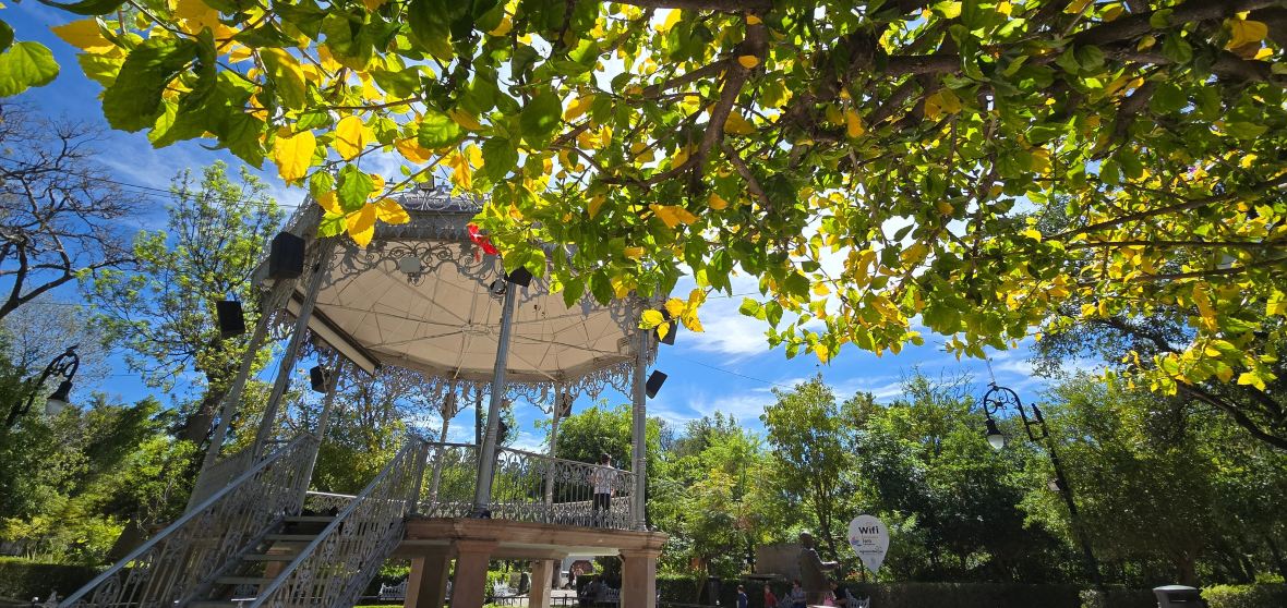 Aguascalientes Travel Guide 2025: Top places, Itinerary & Deals | Trip ...