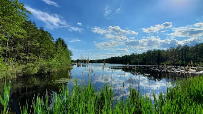 Timberline Lake Camping Resort 티켓 할인, 운영 시간, 후기 [2025년] | Trip.com