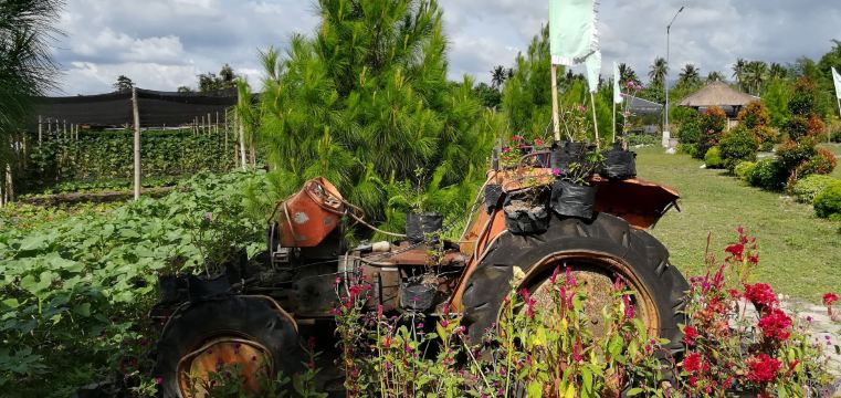 Tupi Travel Guide 2026: Top Attractions, Things to Do & Deals | Trip ...