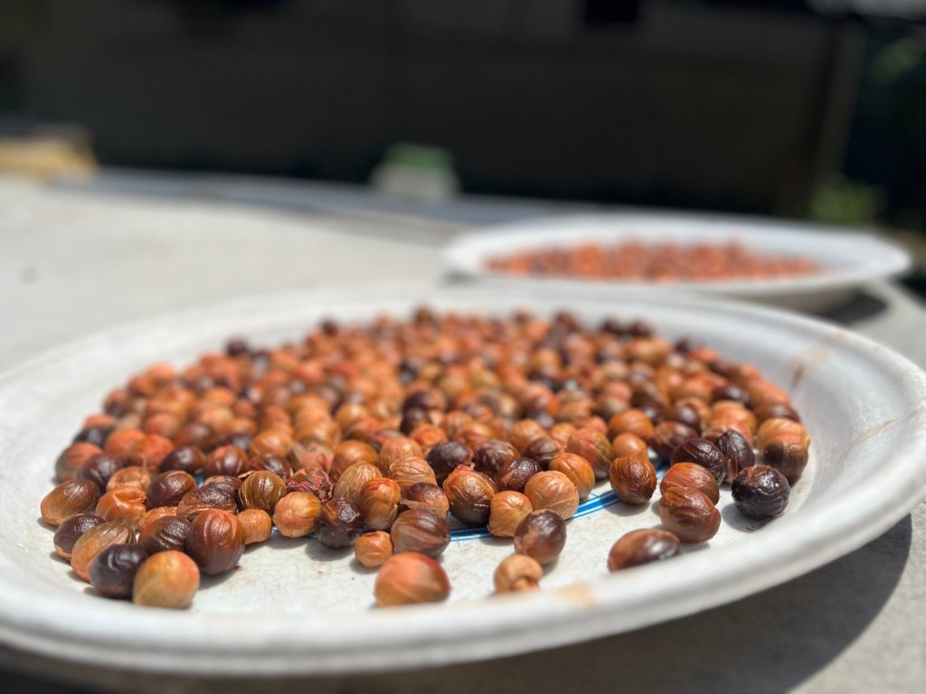 Nutmeg Factory Tickets [2025] - Promos, Prices, Reviews & Opening Hours ...