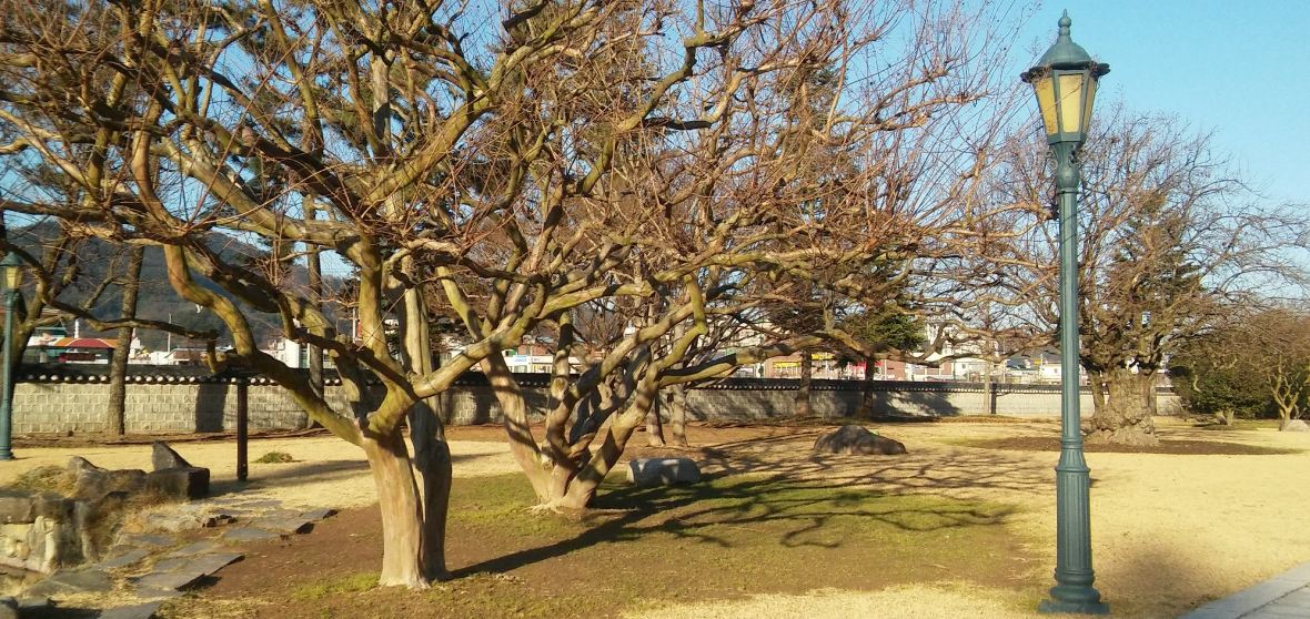 Things to do in Uiryeong-gun (2025): Top nearby activities,popular ...