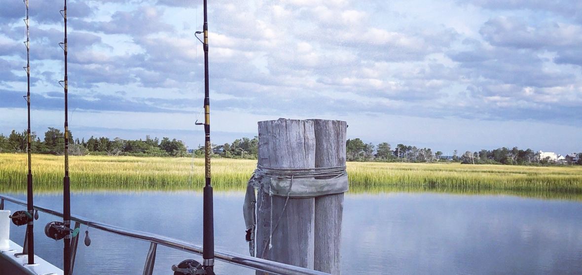 Avalon Travel Guide 2025: Top Attractions, Things to Do & Deals | Trip ...