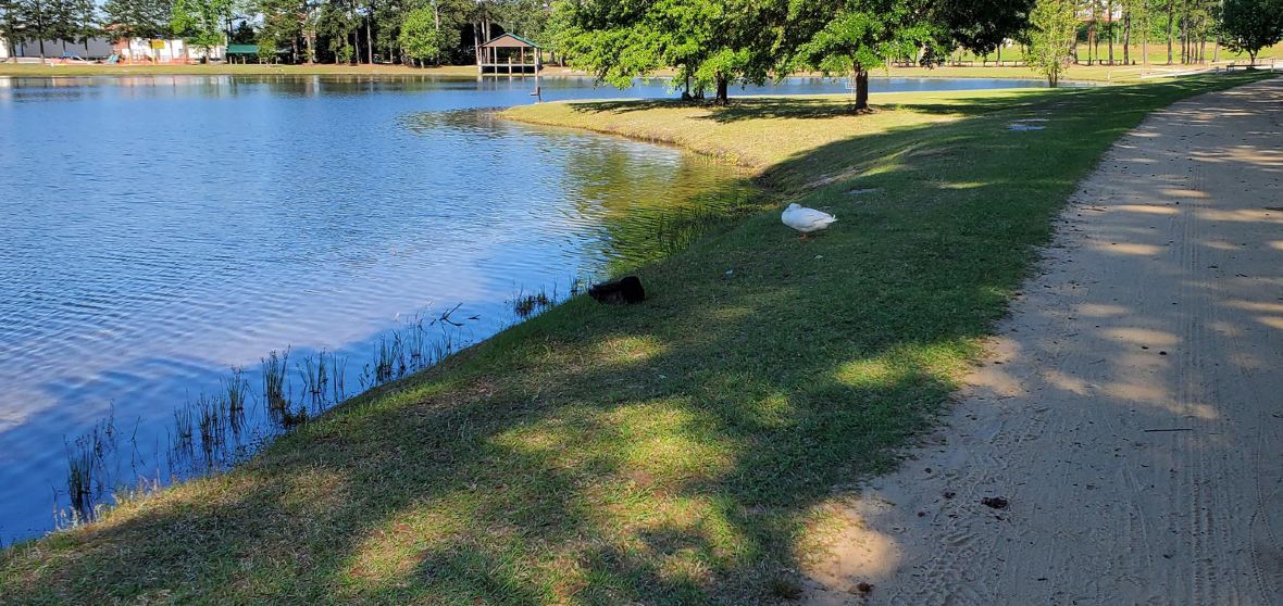 Robeson County Travel Guide 2026: Top Attractions, Things to Do & Deals ...