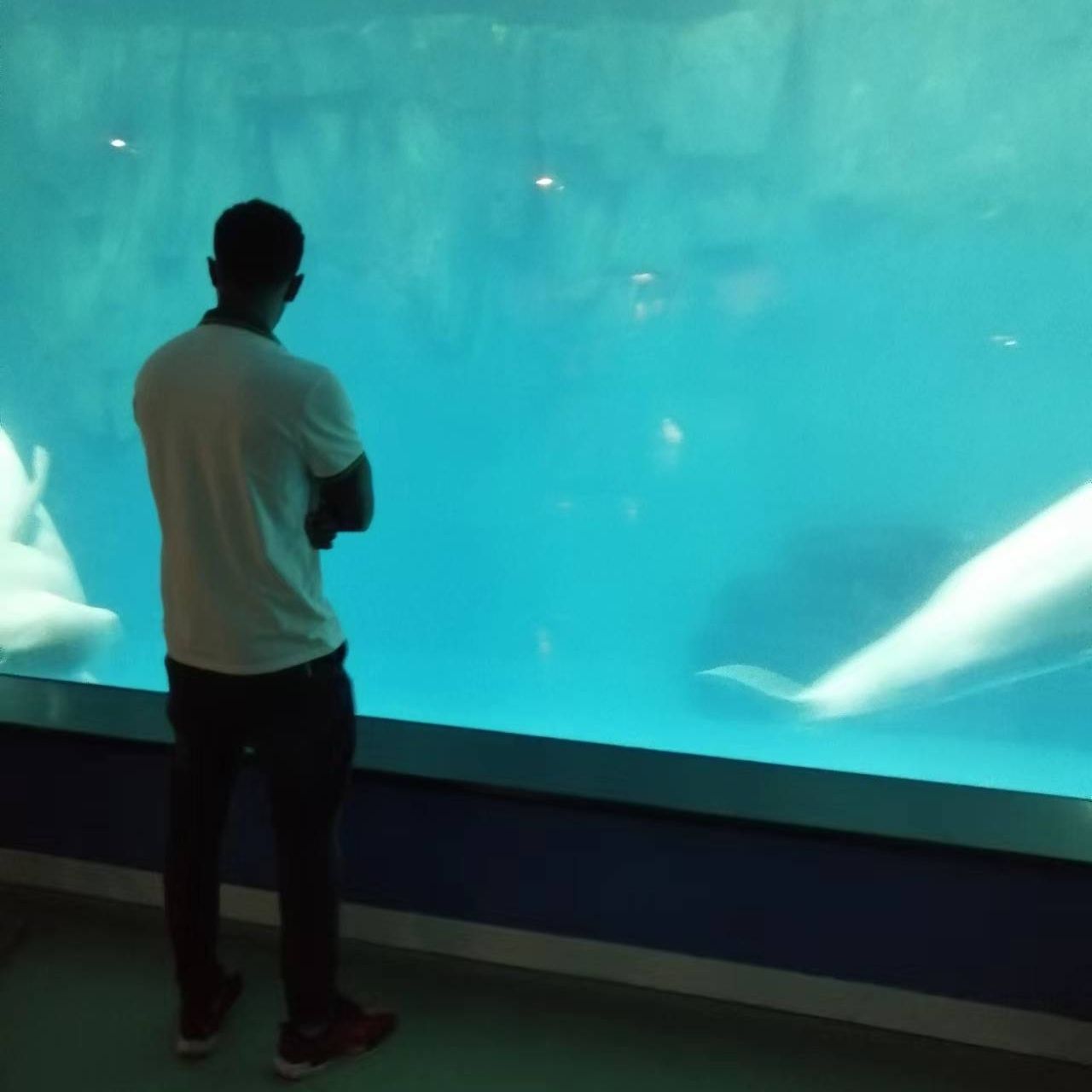 Changsha 2022 Top Things to Do - Changsha Travel Guides - Top ...