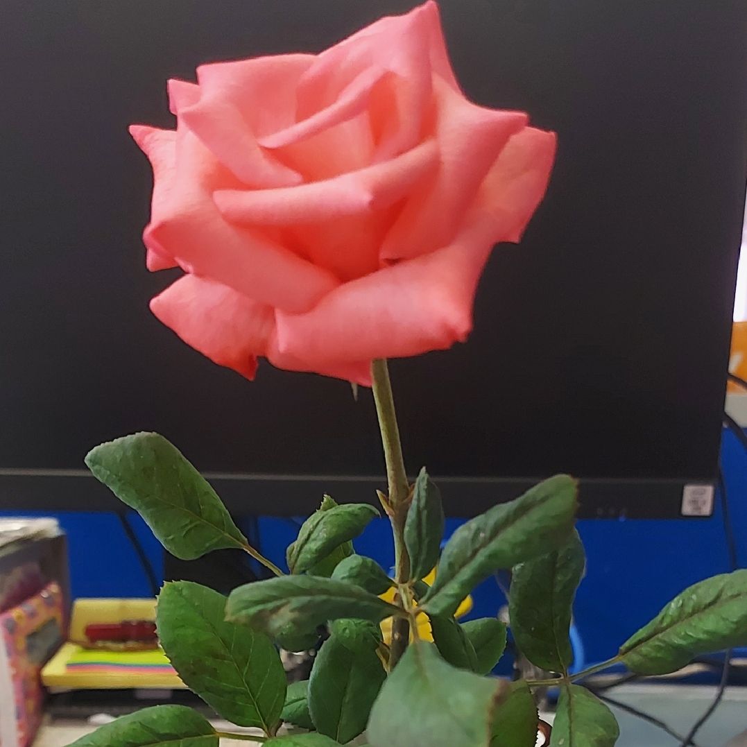 Seri Manjung 2023 Top Things to Do - Seri Manjung Travel Guides - Top ...