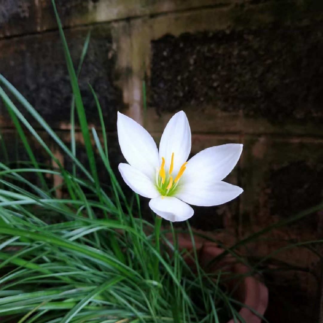 Shan 2022 Top Things to Do - Shan Travel Guides - Top Recommended Shan ...