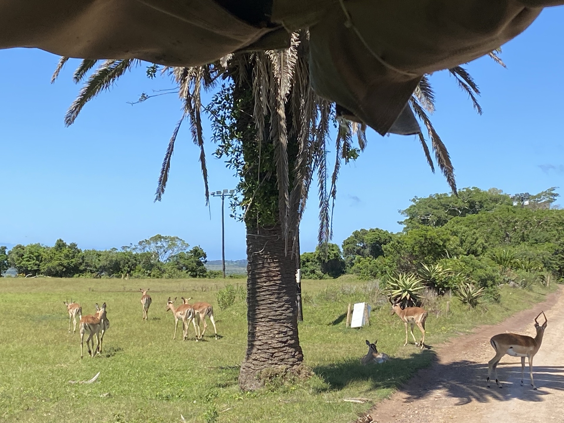 East london Travel Guide 2023 - Things to Do, What To Eat & Tips | Trip.com