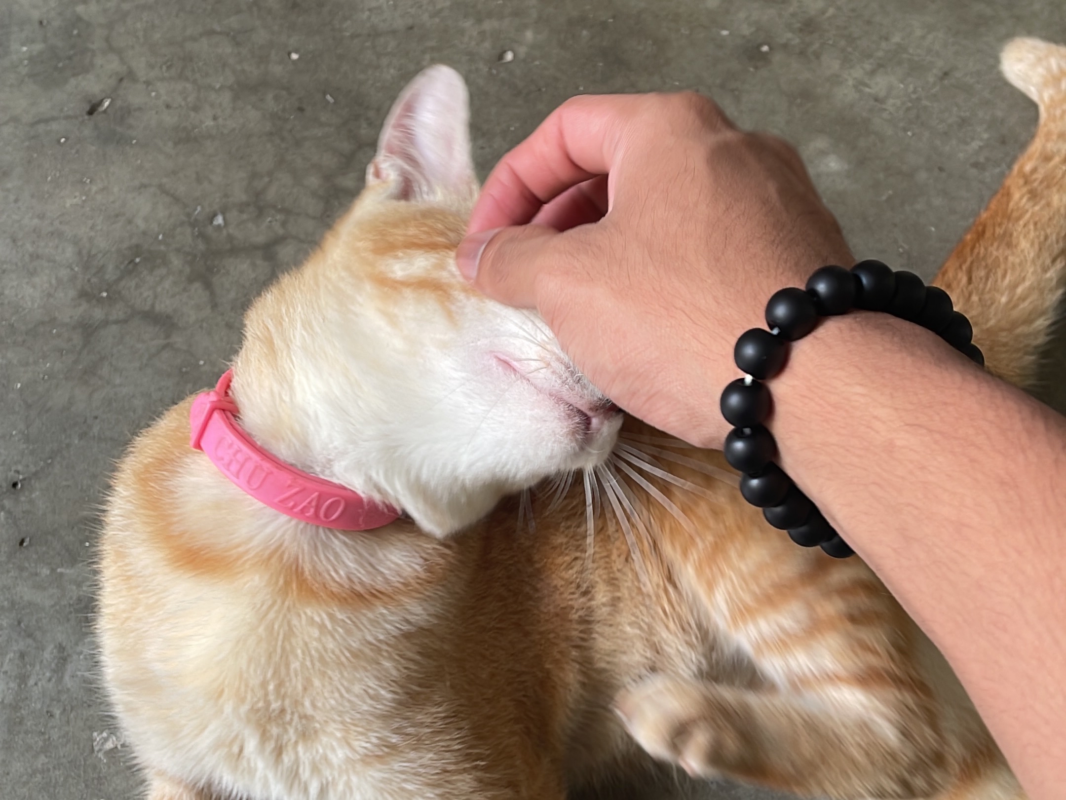 WiP restaurant - KL, Malaysia | Trip.com Kuala Lumpur Travelogues