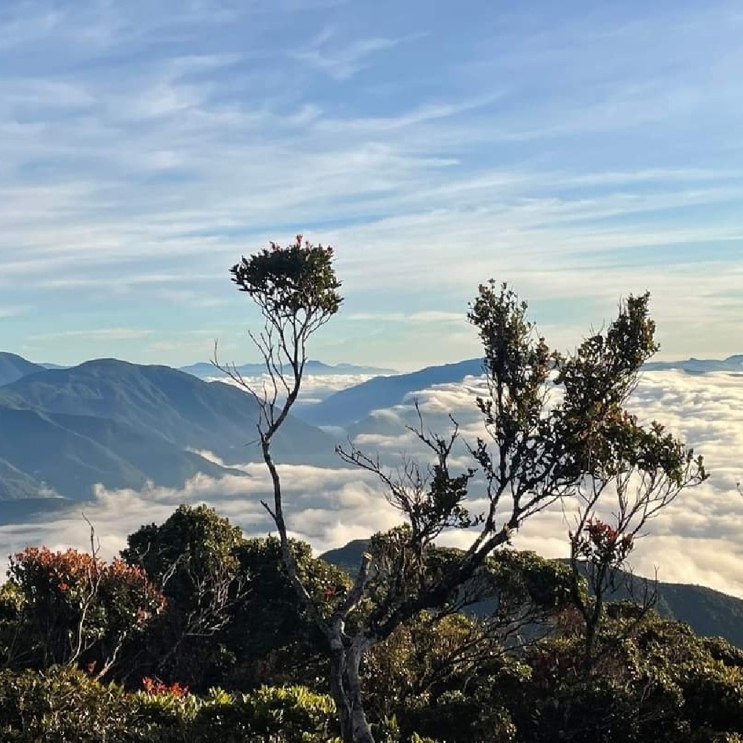 Ifugao Travel Guide 2023 - Things to Do, What To Eat & Tips | Trip.com