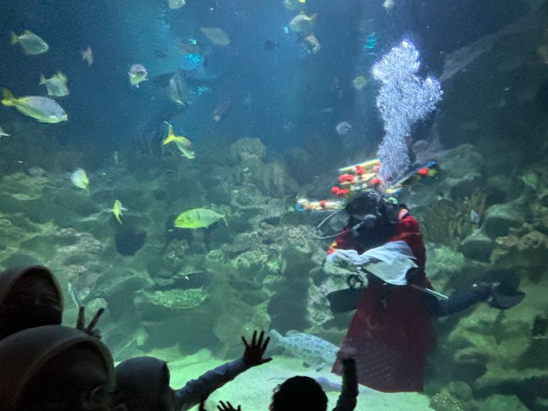 Things to Do in Tawau in 2025 - Top Attractions, Local Food, Hotels ...