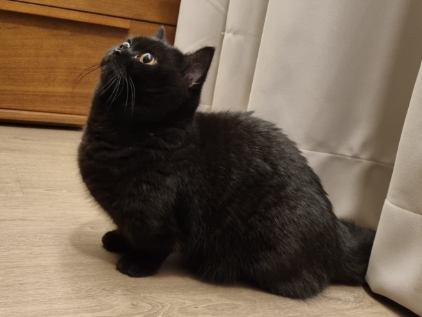 sjdhdj | Trip.com Ulaanbaatar