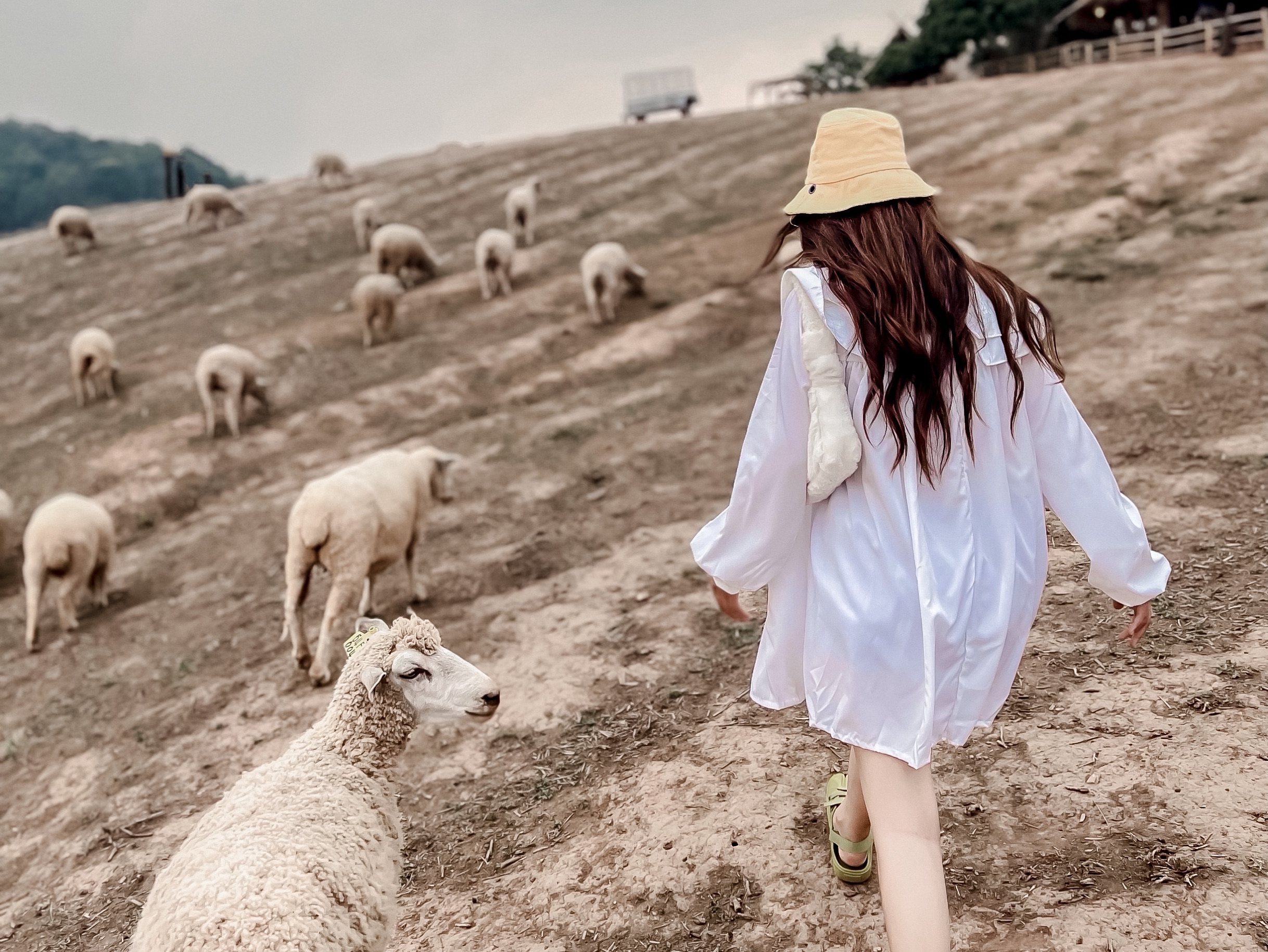 Cafe’lista เชียงราย | Trip.com ขอนแก่น บล็อกท่องเที่ยว