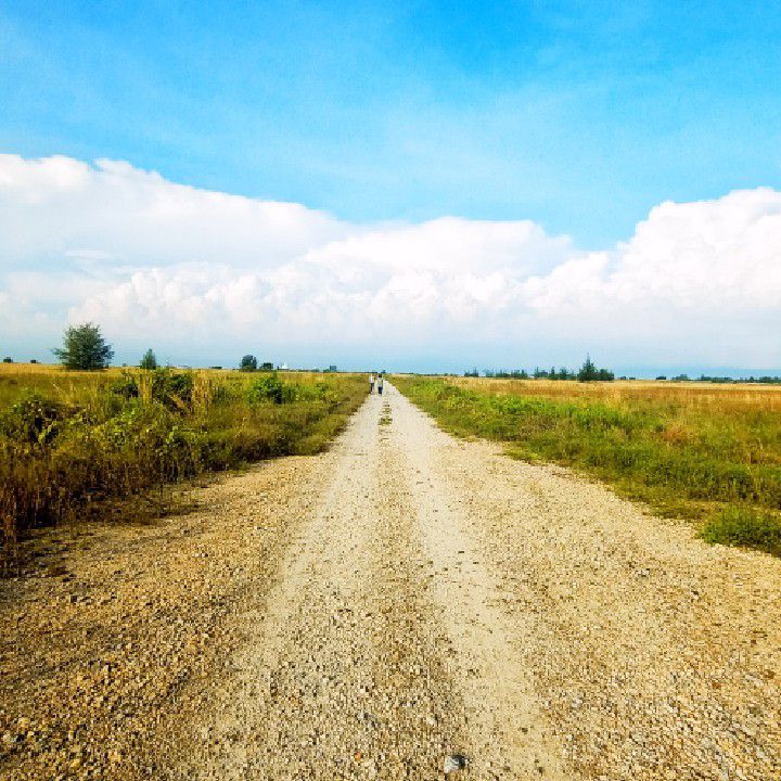 Pulau Babi 2022 Top Things to Do - Pulau Babi Travel Guides - Top ...