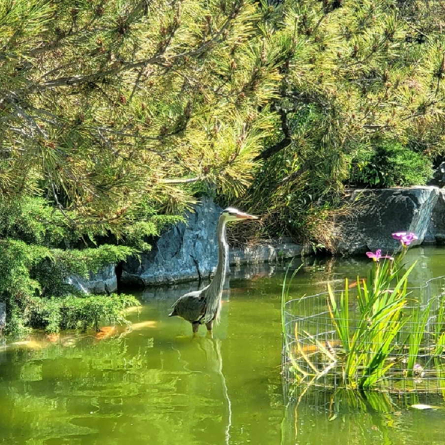 Atwater Travel Guide 2023 - Things to Do, What To Eat & Tips | Trip.com