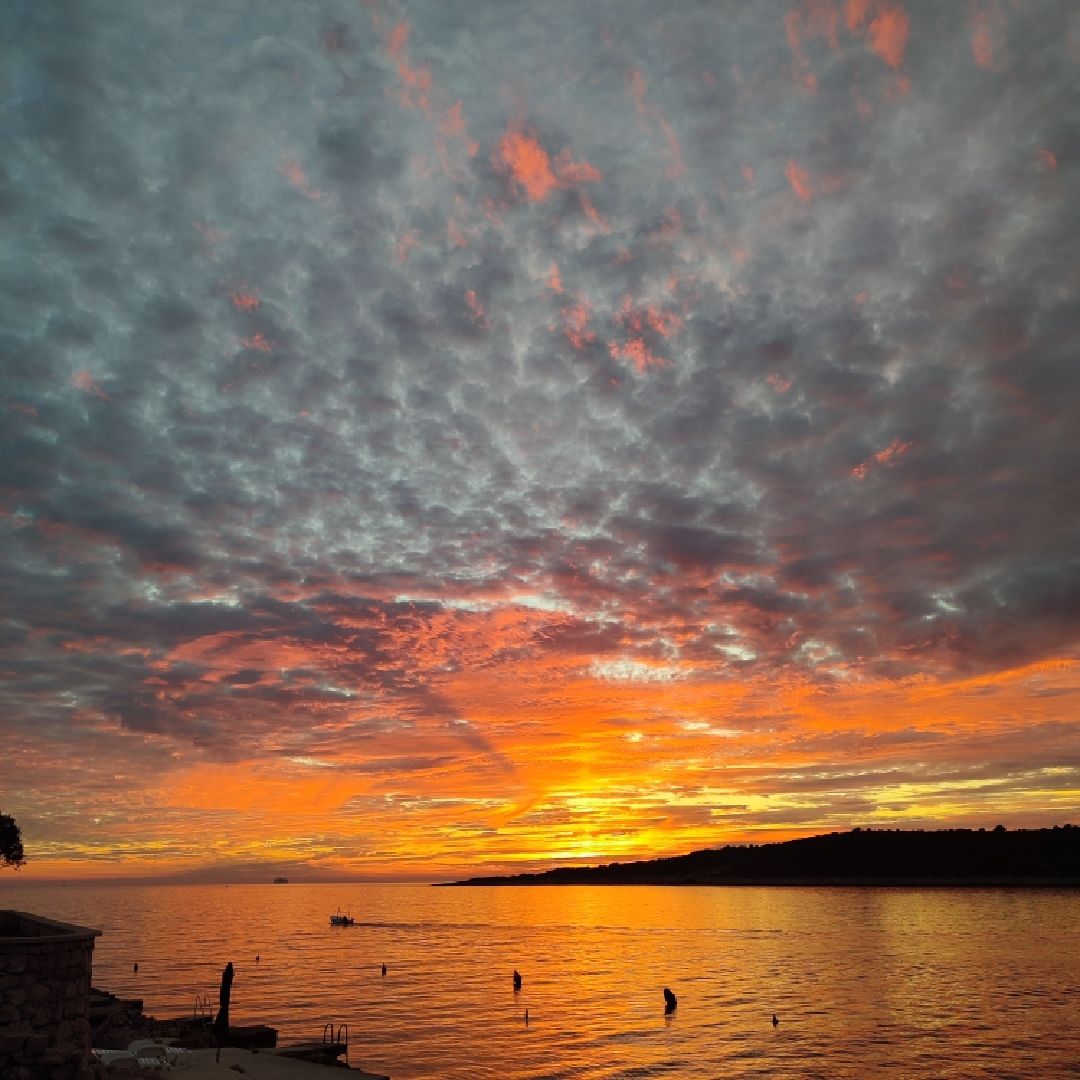 Sevid Travel Guide 2024 - Things to Do, What To Eat & Tips | Trip.com