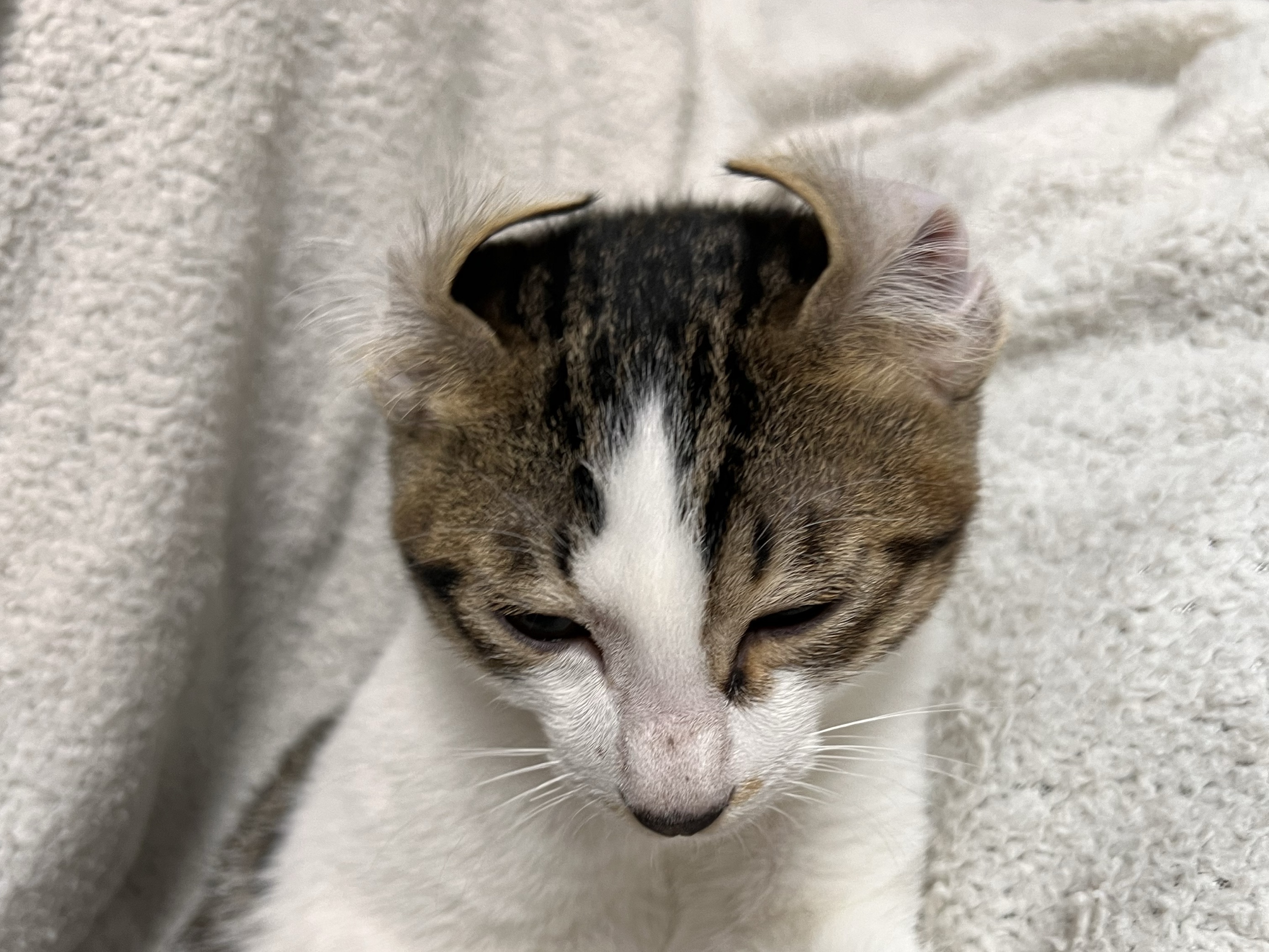 Pinggu District 2023 Top Things to Do - Pinggu District Travel Guides ...