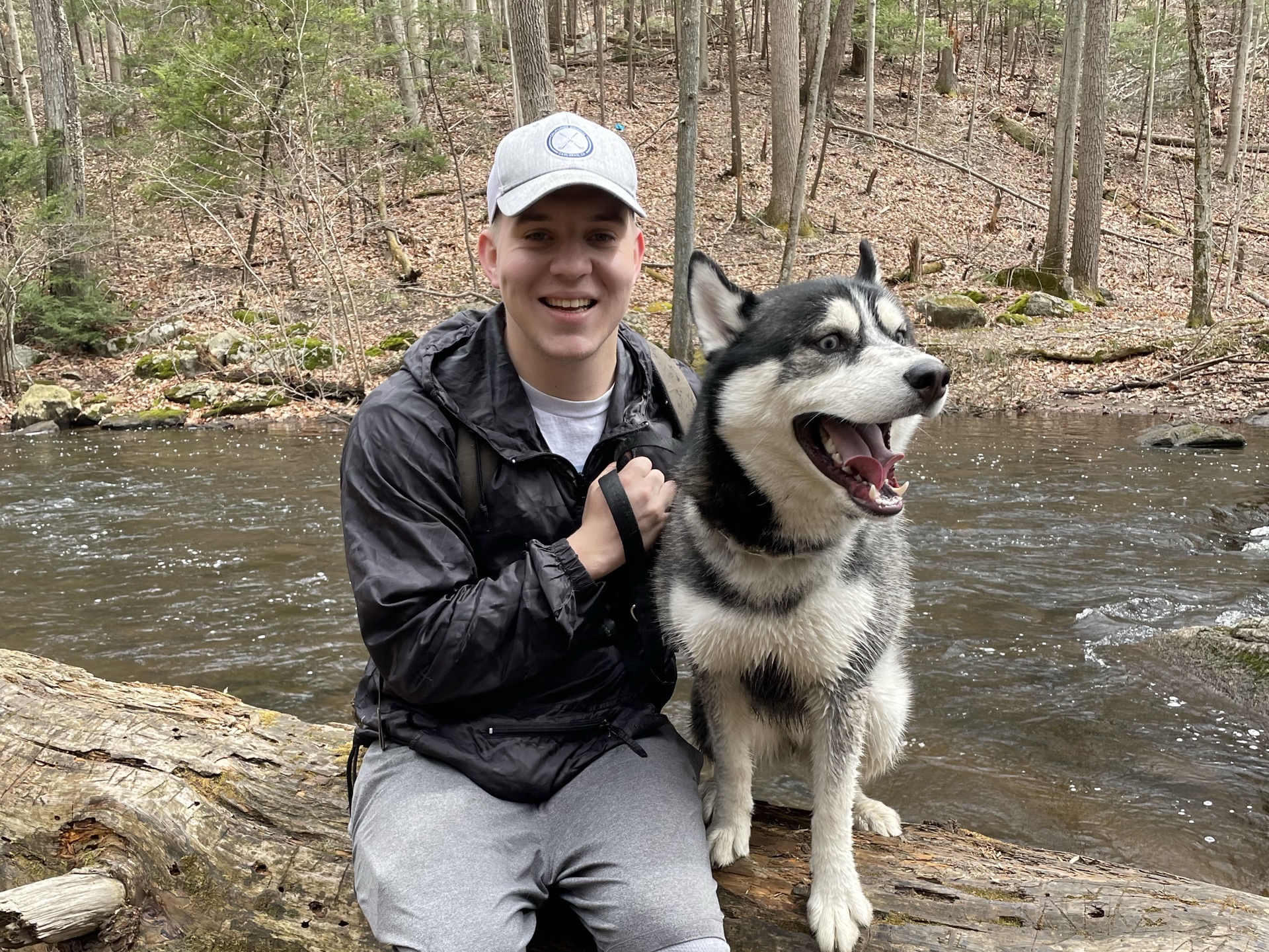 | Trip.com New York Travelogues