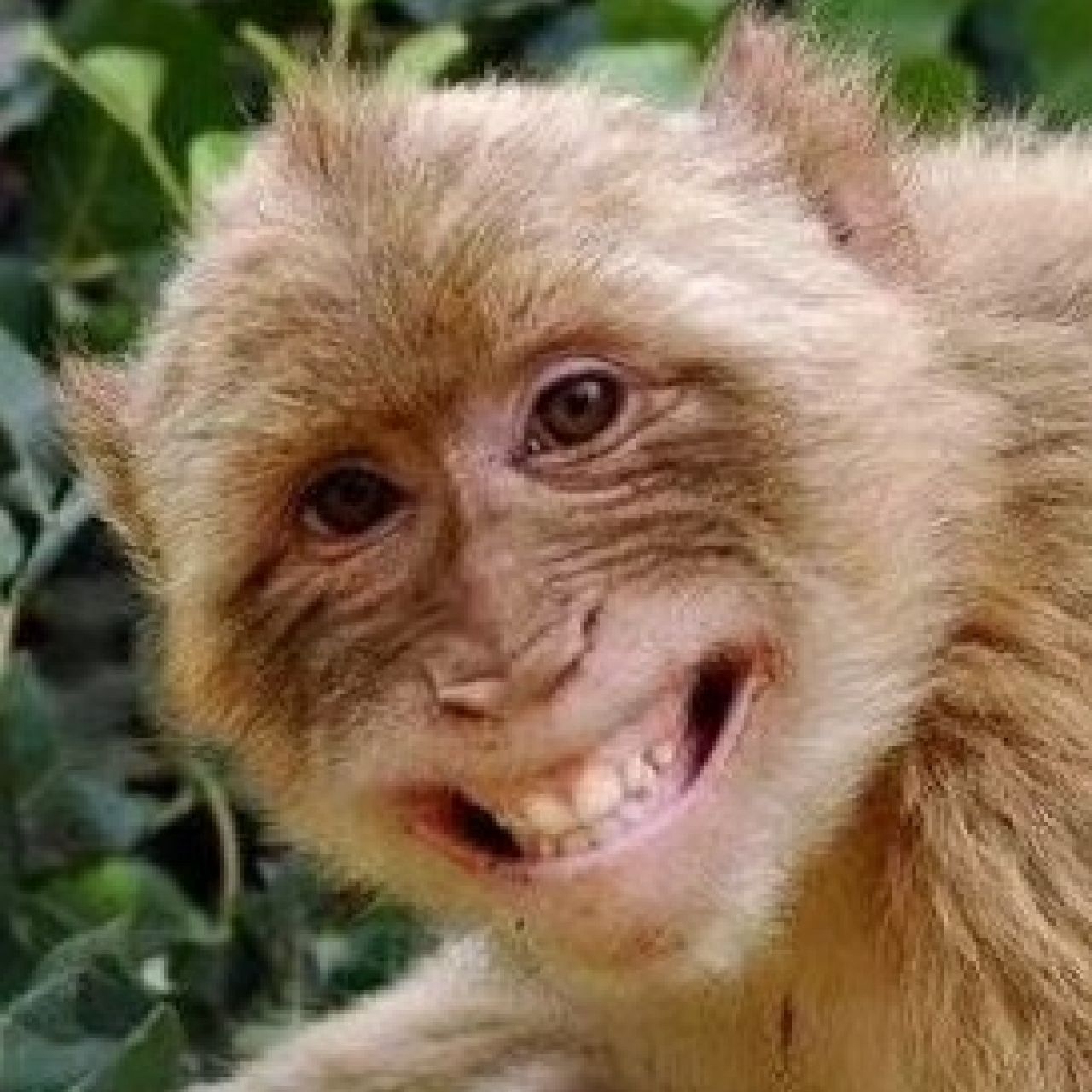 Zhuhai 2022 Top Things to Do - Zhuhai Travel Guides - Top Recommended ...