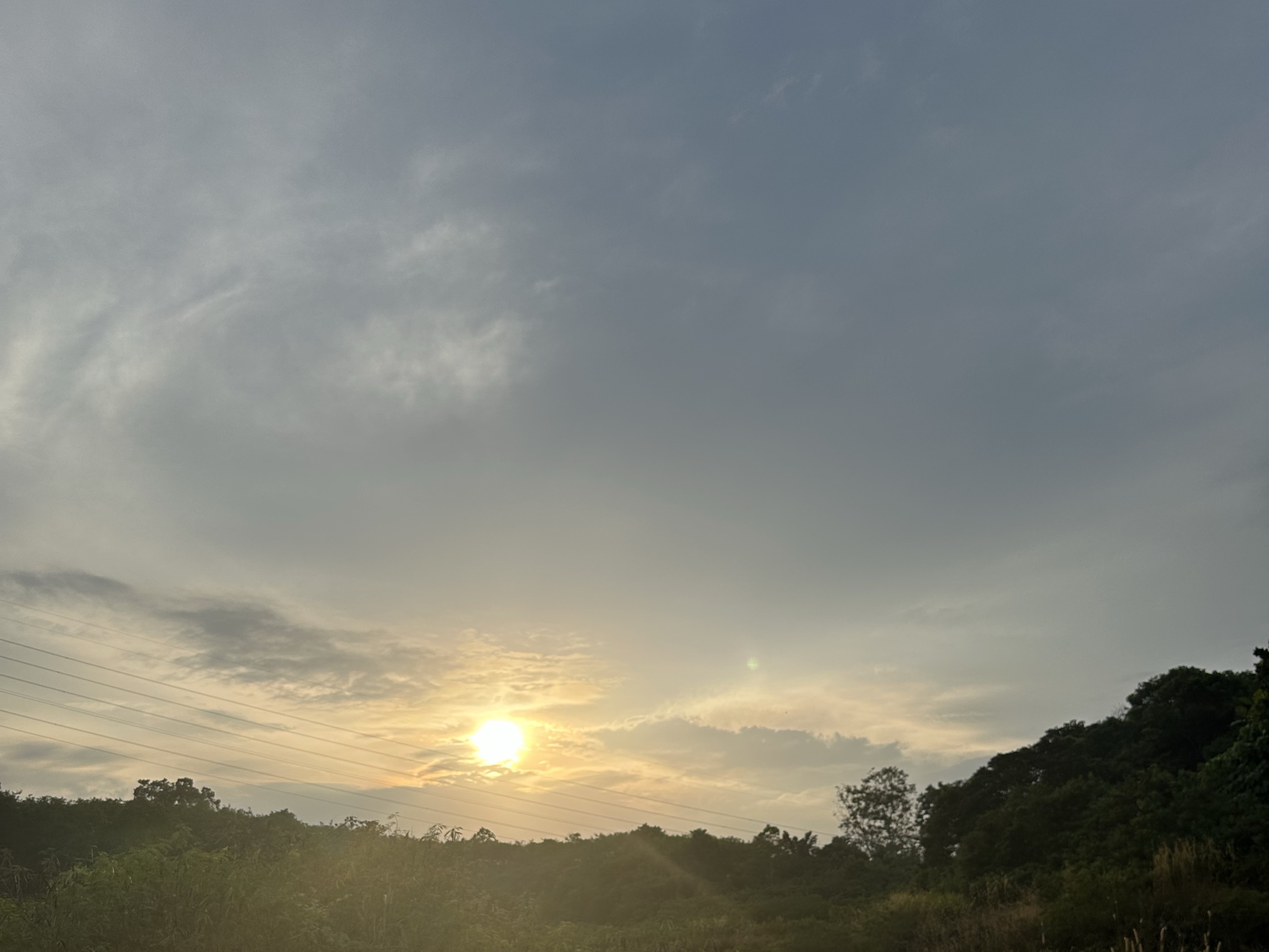 Cameron Highland Cactus Valley | Trip.com Cameron Highlands Travelogues