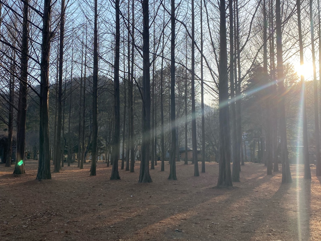 Chuncheon-si 2022 Top Things to Do - Chuncheon-si Travel Guides - Top ...