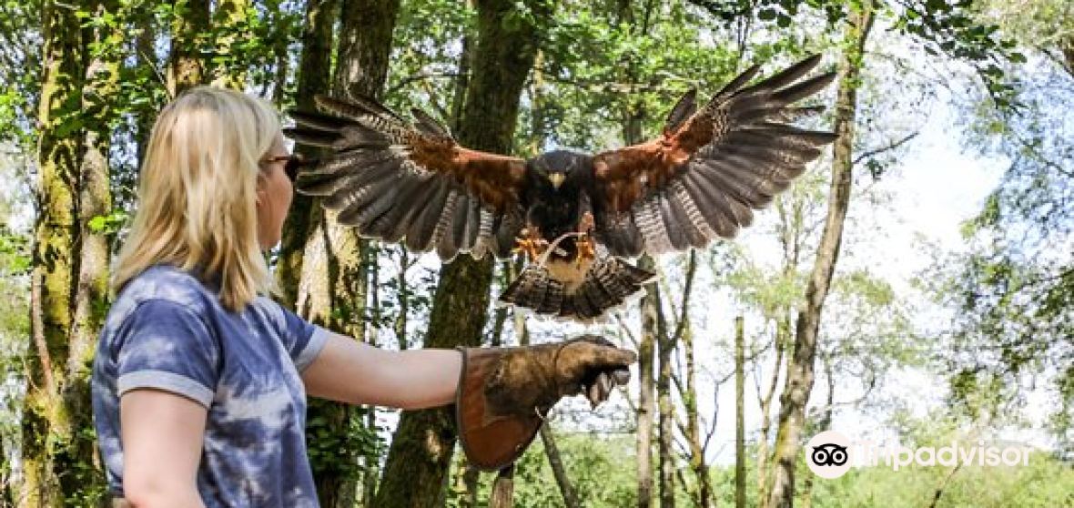 แนะนำการเดินทาง Strathblane 2024 - สิ่งที่ควรทำ, อาหารที่ควรรับประทาน ...