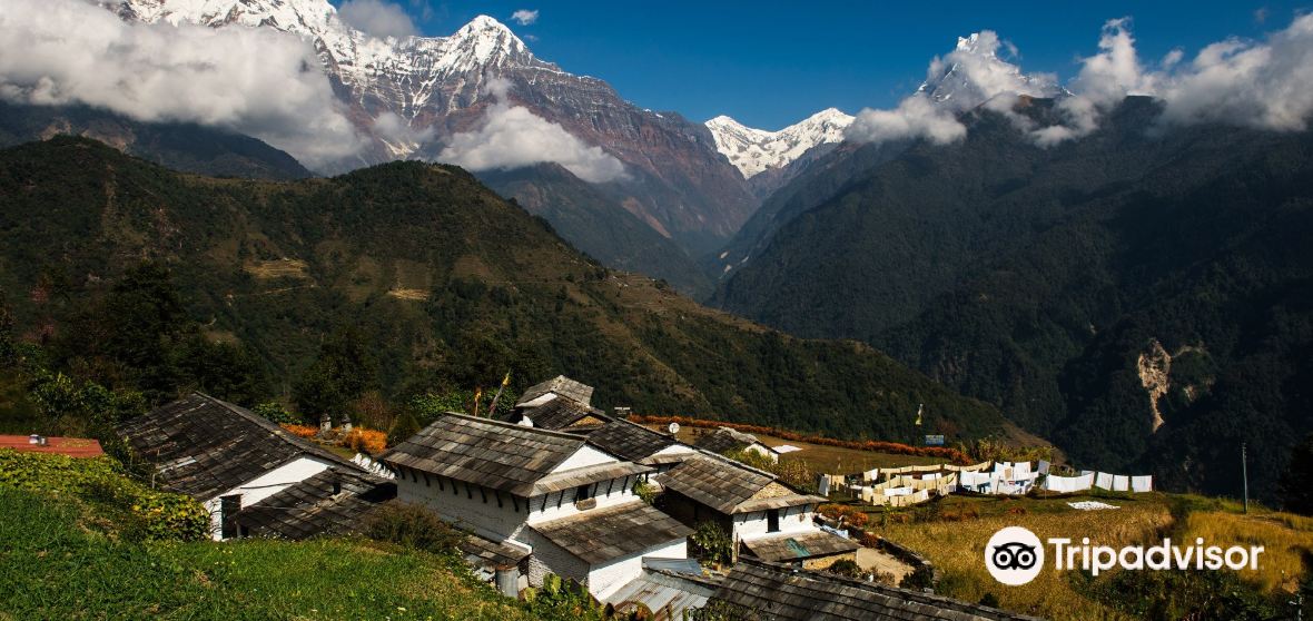 Dallu個人旅行ガイド（2025年）：おすすめの周辺アクティビティ、人気観光スポット、旅程の計画、宿泊施設、グルメ、交通機関、天気など、旅行 ...