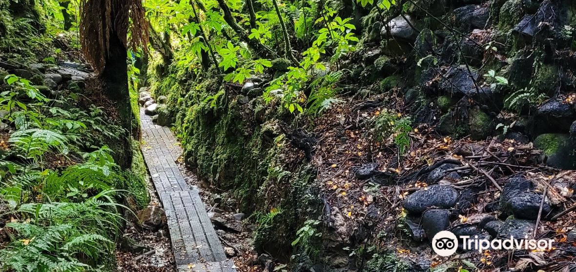 Things to do in Inangahua (2025): Top nearby activities,popular ...