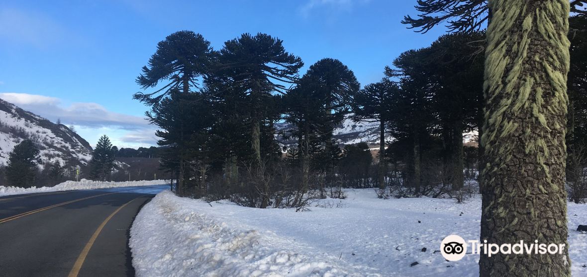 Colina Travel Guide 2025: Top Attractions, Things to Do & Deals | Trip ...