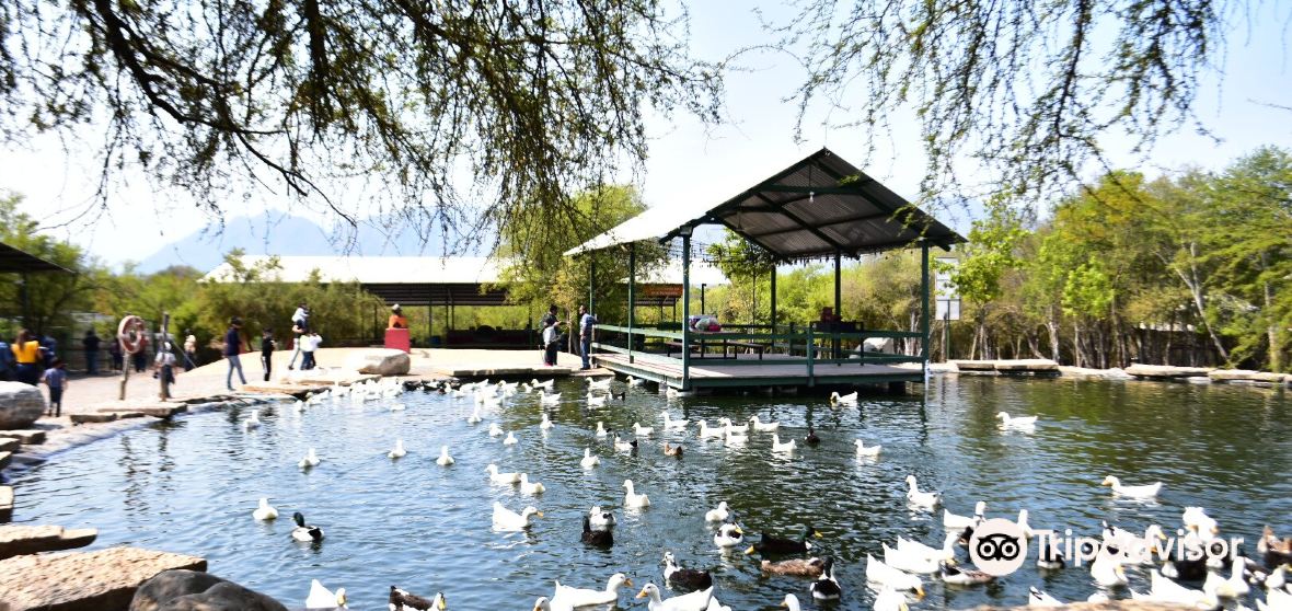 Montemorelos Travel Guide 2026: Top Attractions, Things to Do & Deals ...