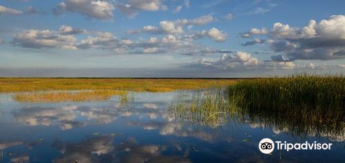 Buckhead Ridge Travel Guide 2025: Top Attractions, Things to Do & Deals ...