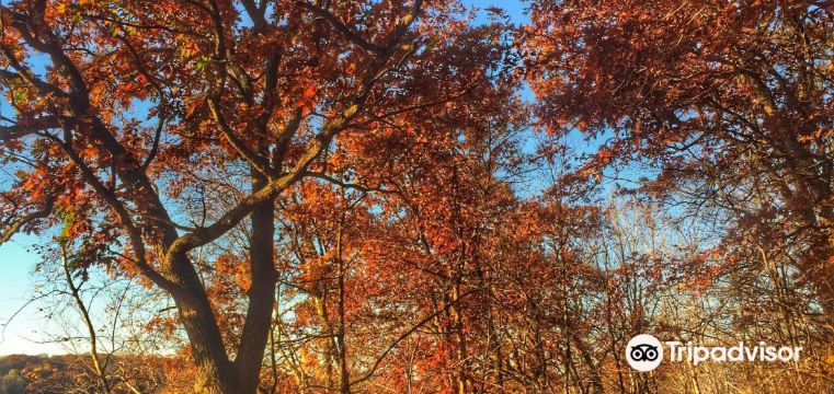 Tainter Lake Travel Guide 2026: Top Attractions, Things to Do & Deals ...