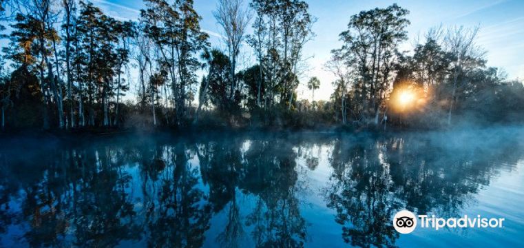 Crystal River Travel Guide 2026: Top Attractions, Things to Do & Deals ...