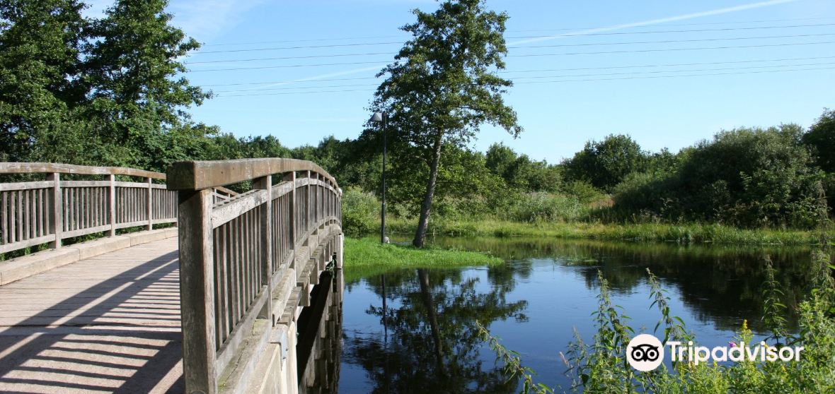 Things to Do in Gustrow in 2024 - Top Attractions, Local Food, Hotels ...