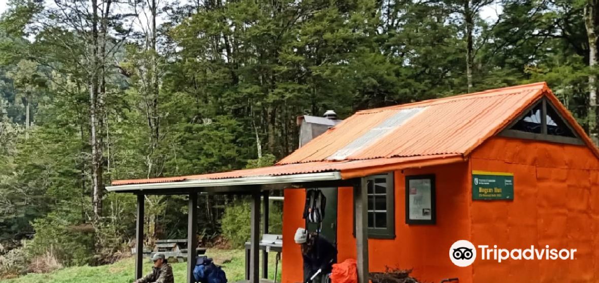 Things to Do in Murupara in 2025 - Top Attractions, Local Food, Hotels ...