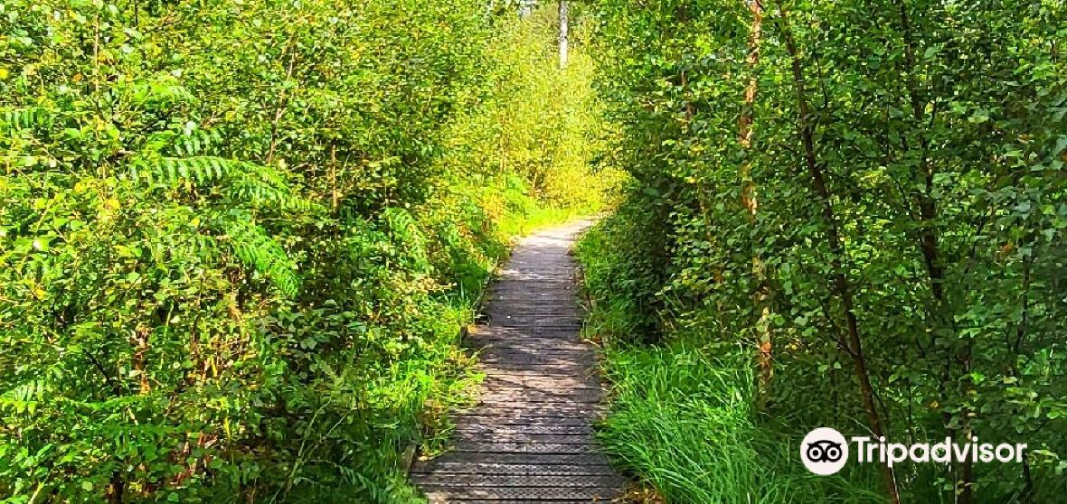 Things to Do in Witherslack in 2025 - Top Attractions, Local Food ...