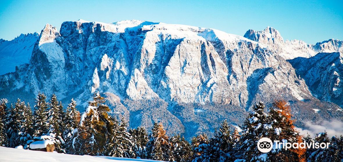 แนะนำการเดินทาง Collalbo 2024 - สิ่งที่ควรทำ, อาหารที่ควรรับประทาน ...