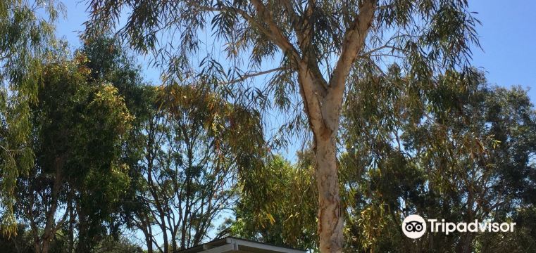 Things to do in Fitzgibbon (2025): Top nearby activities,popular ...