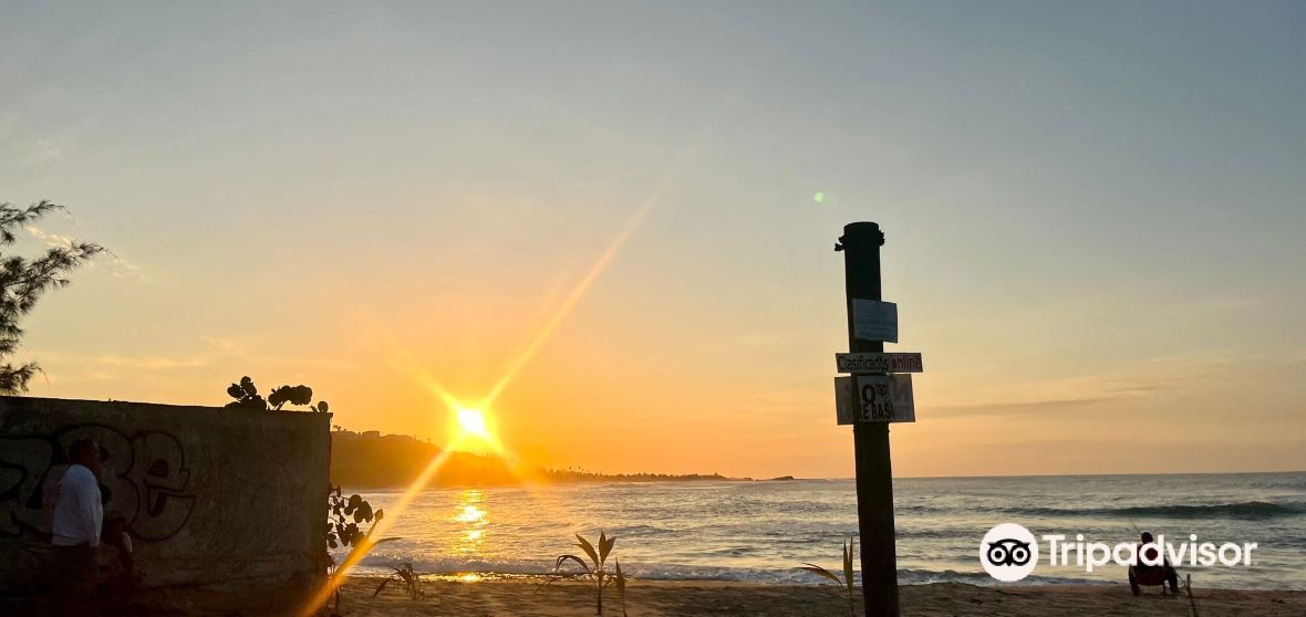 Isabela Travel Guide 2024 - Things to Do, What To Eat & Tips | Trip.com