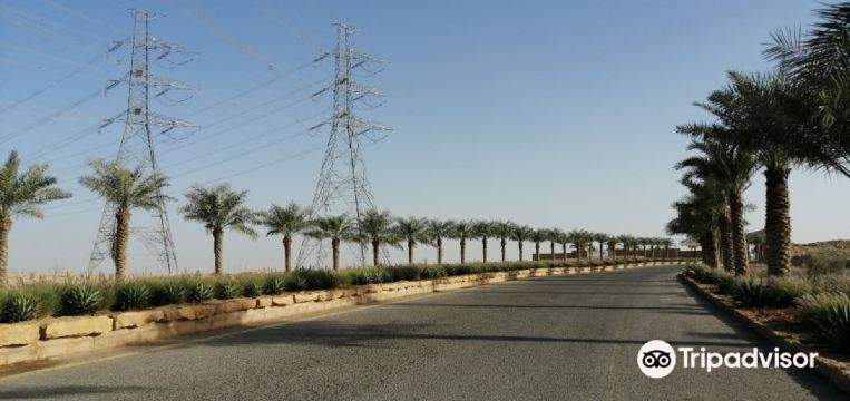 Dawadmi Travel Guide 2026: Top Attractions, Things to Do & Deals | Trip ...