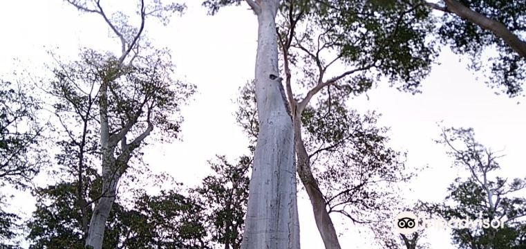 Labuhan Lombok 주변 트립 가이드: 인기 액티비티, 날씨, 교통, 인기 어트랙션 등 종합적인 가이드(마지막 업데이트 ...