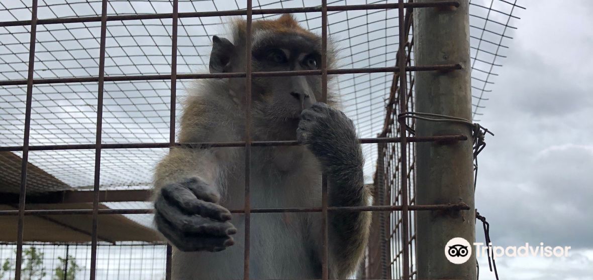 Things to Do in Loay in 2024 - Top Attractions, Local Food, Hotels ...